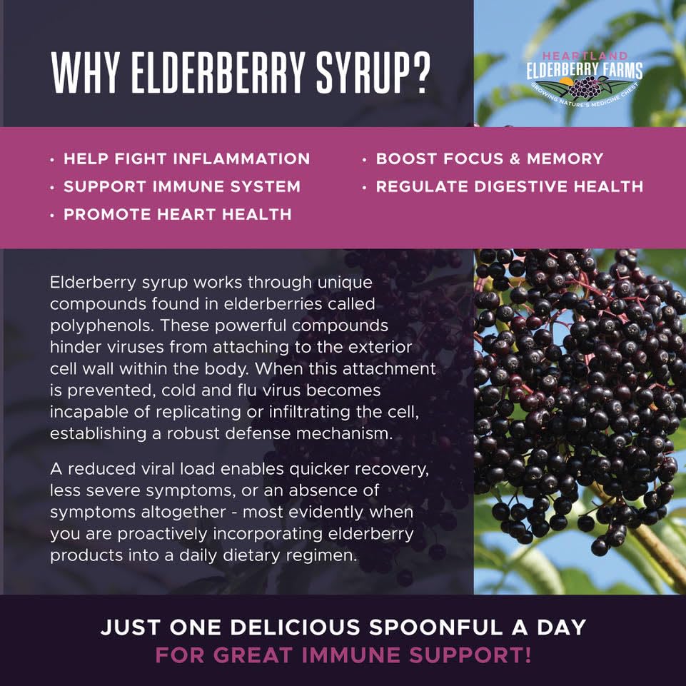 elderberry syrup for kids and adults