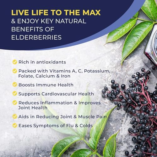 elderberry syrup for kids and adults
