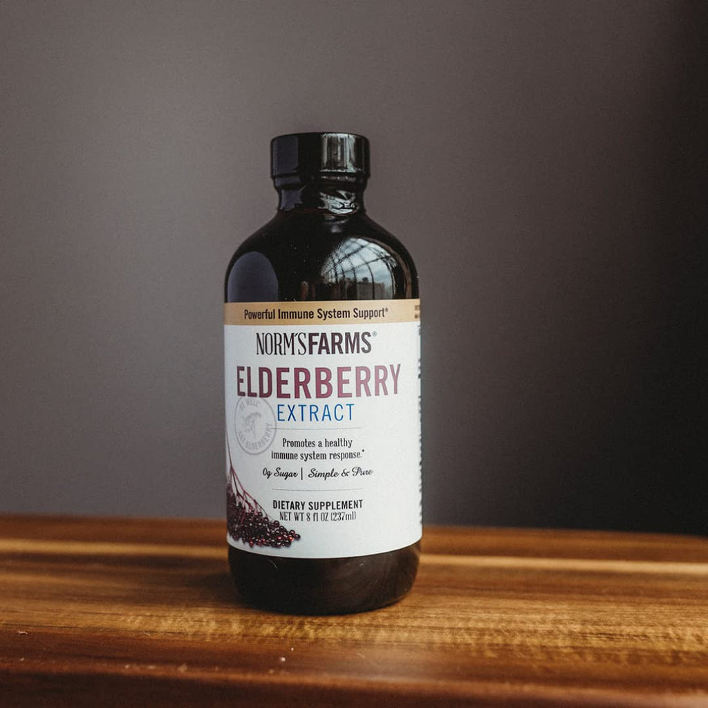 elderberry syrup for kids' health