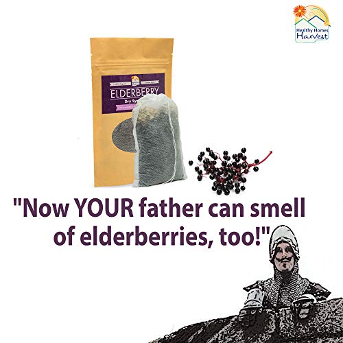 elderberry syrup for kids health