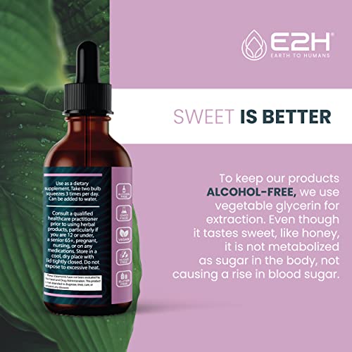 elderberry syrup for overall vitality