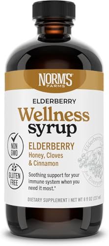 elderberry syrup for overall wellness