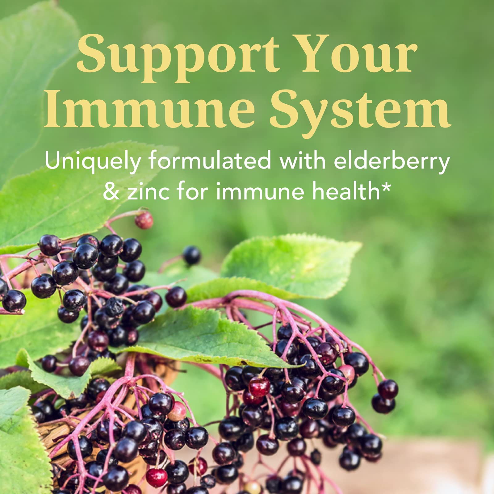 Elderberry syrup for seasonal support