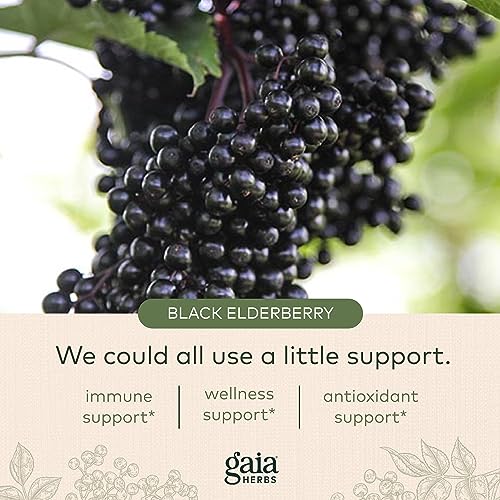 elderberry syrup for seasonal support