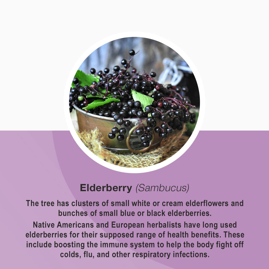 elderberry syrup for seasonal wellness