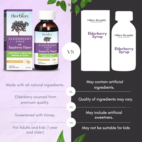 elderberry syrup for seasonal wellness