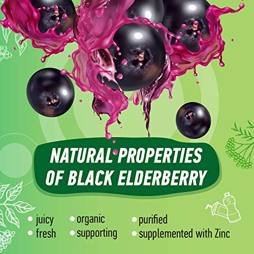 elderberry syrup for seasonal wellness