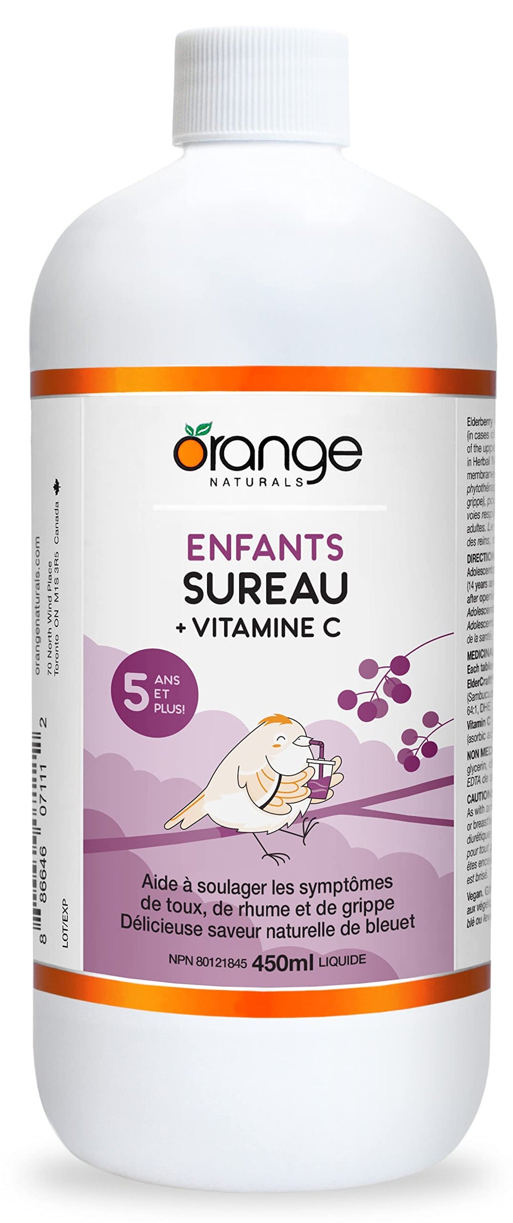 elderberry syrup for seasonal wellness