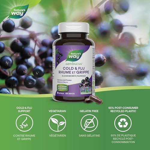 elderberry syrup for seasonal wellness