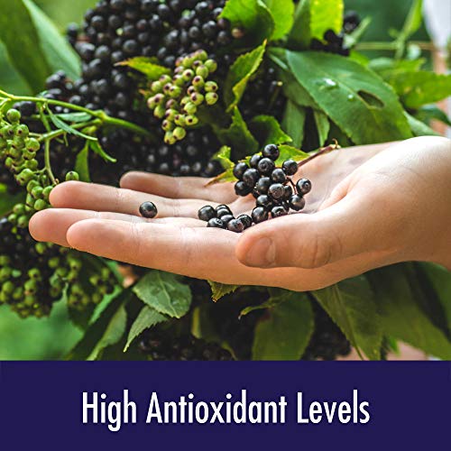 Elderberry syrup for winter wellness