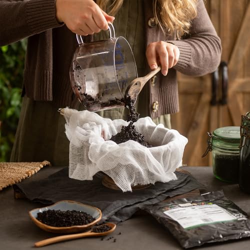 elderberry syrup ingredient for wellness