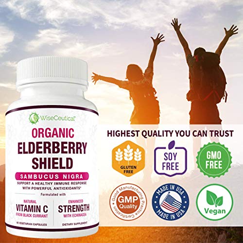 elderberry syrup recipe ideas