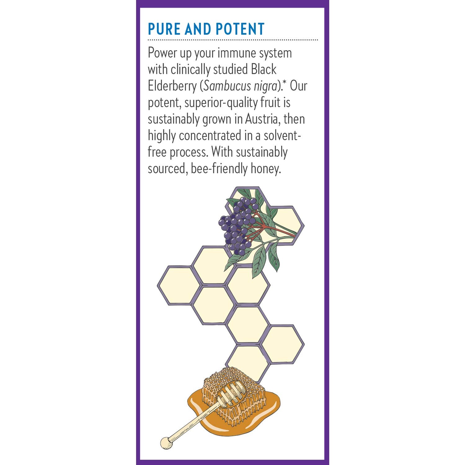 Elderberry syrup with 24 servings