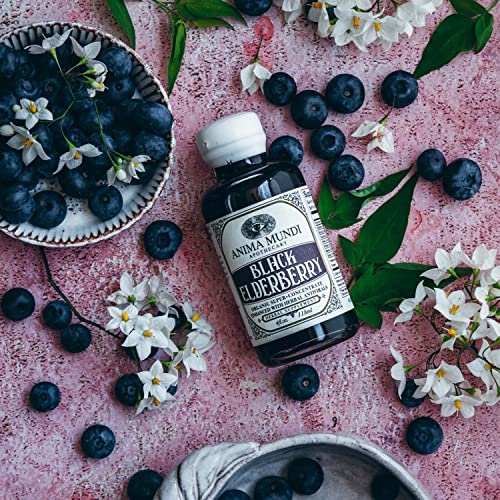 elderberry syrup with cordyceps extract