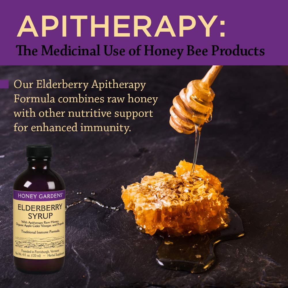 Elderberry syrup with echinacea benefits