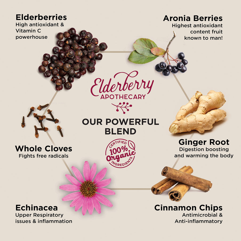 elderberry syrup with ginger and cinnamon