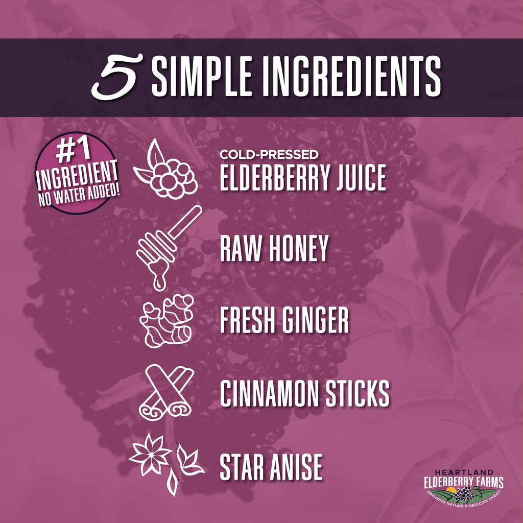 elderberry syrup with ginger and cinnamon