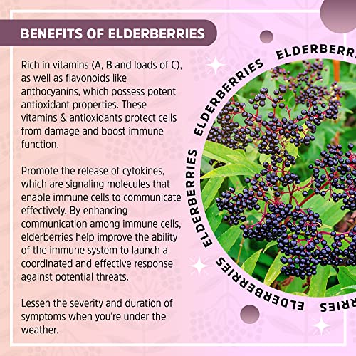 elderberry syrup with raw honey