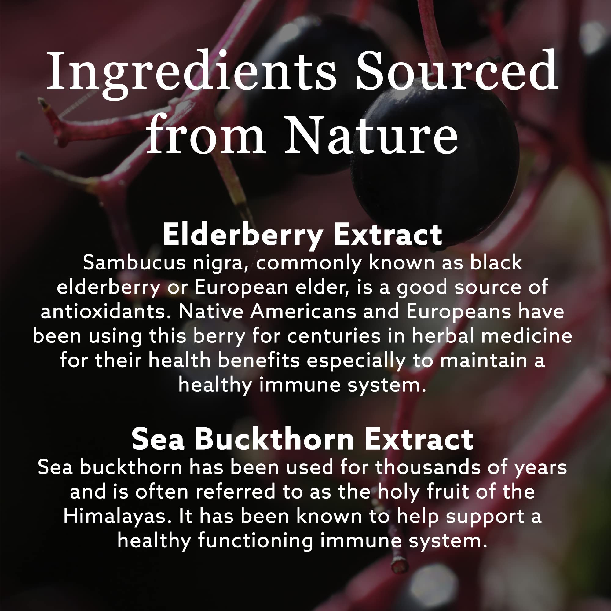 elderberry tablets with black pepper extract