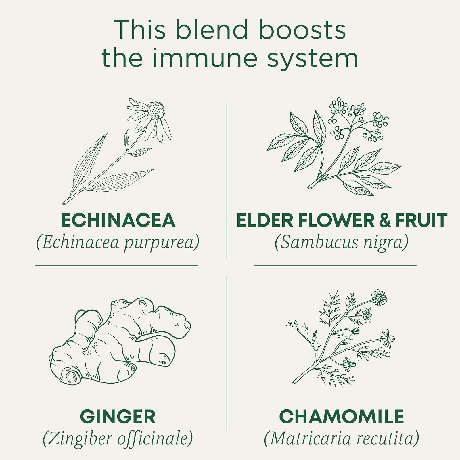 Elderberry tea bags for cold relief