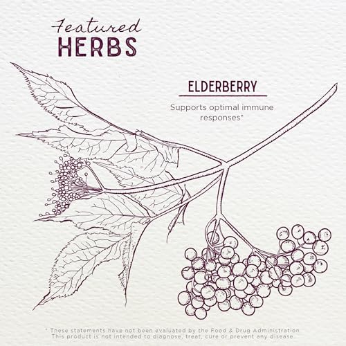 elderberry tincture for daily health boost