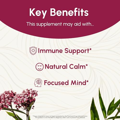 Elderberry tincture for seasonal health