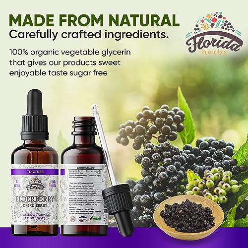 elderberry tincture for seasonal wellness