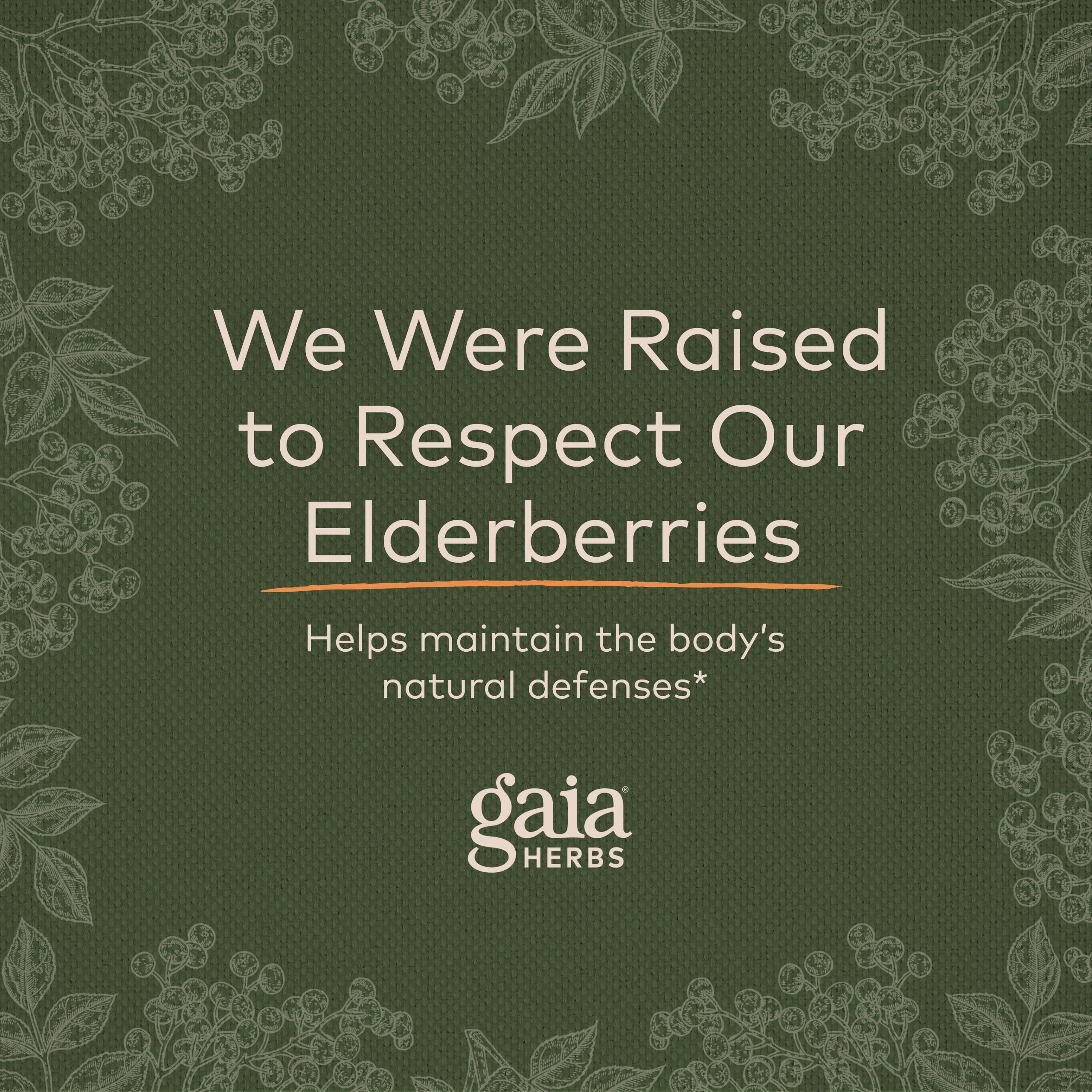 elderberry tonic with honey for taste