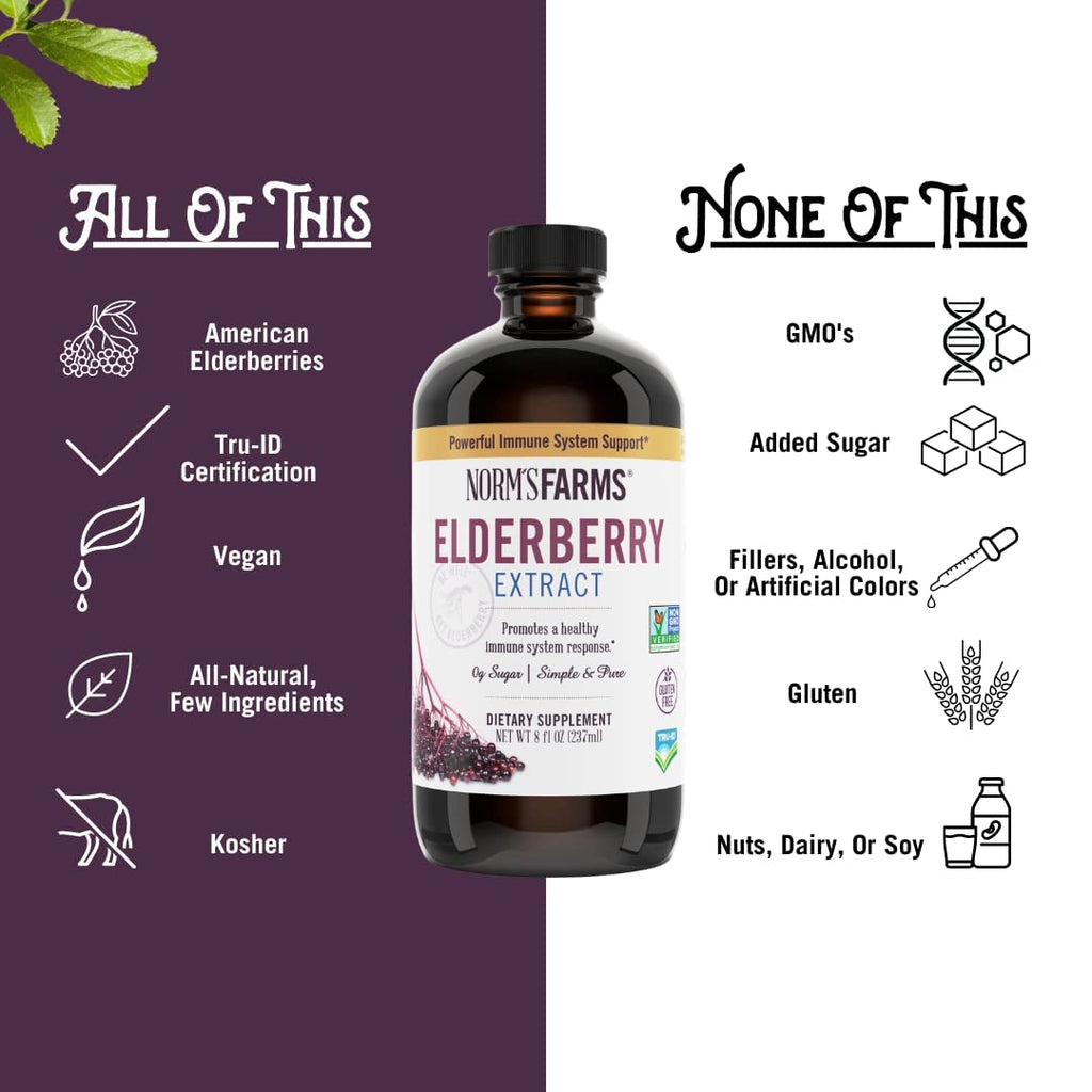 elderberry wellness supplement for families