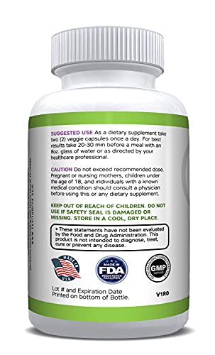 elderberry wellness support for families