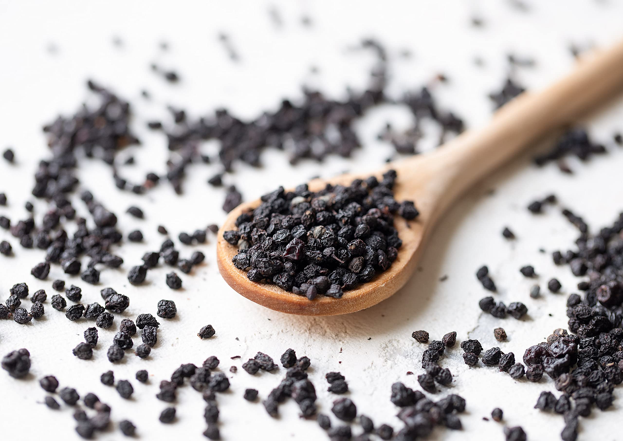 elderberry wine chords for beginners