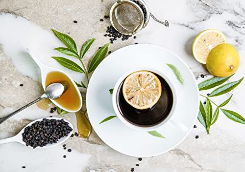 elderberry wine chords for homemade brewing