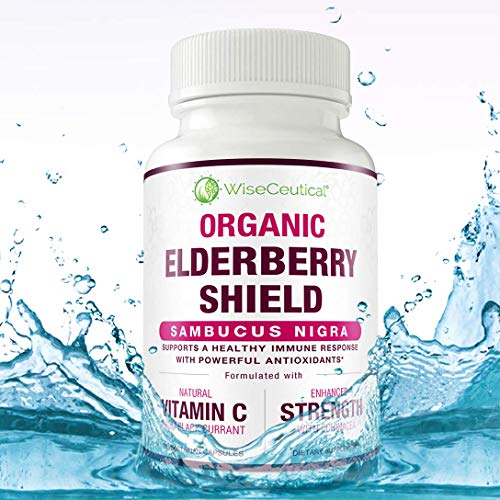 elderberry wine making tips