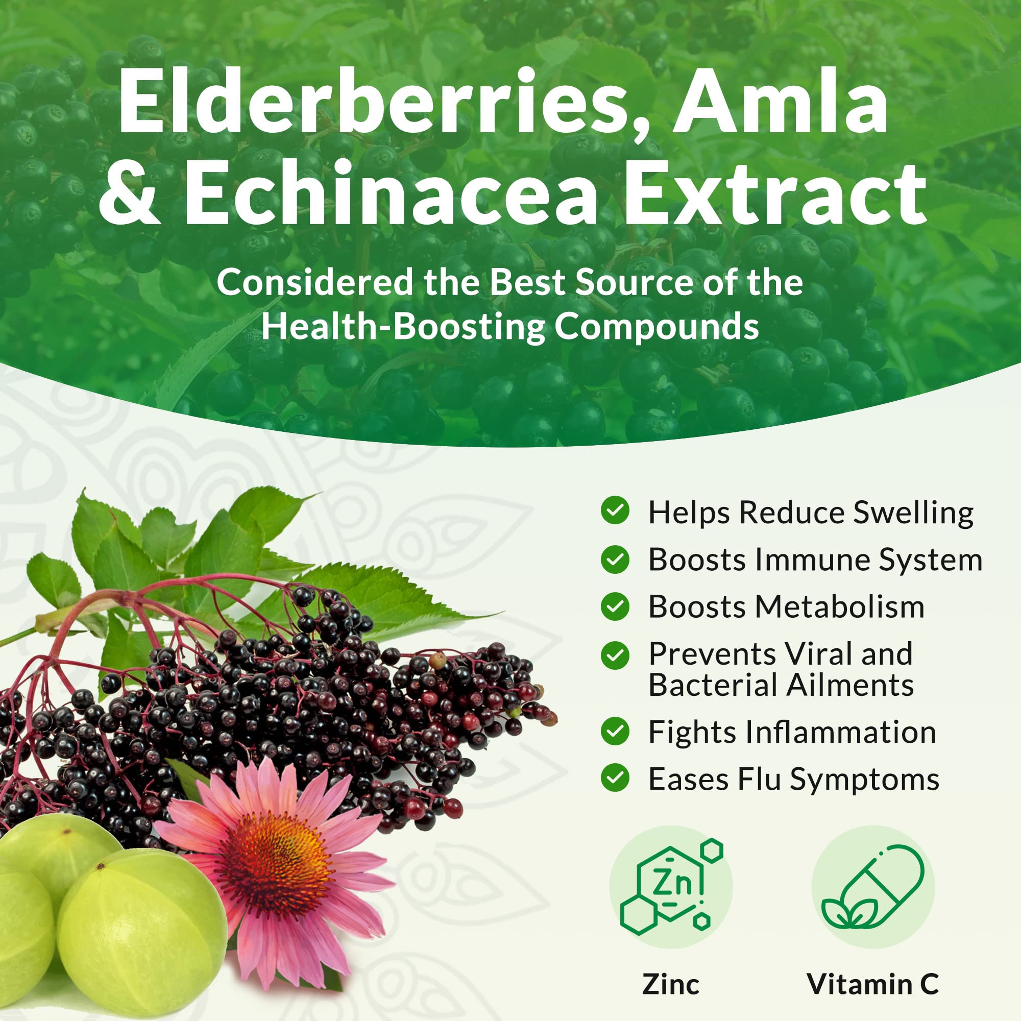 elderberry with vitamin C benefits