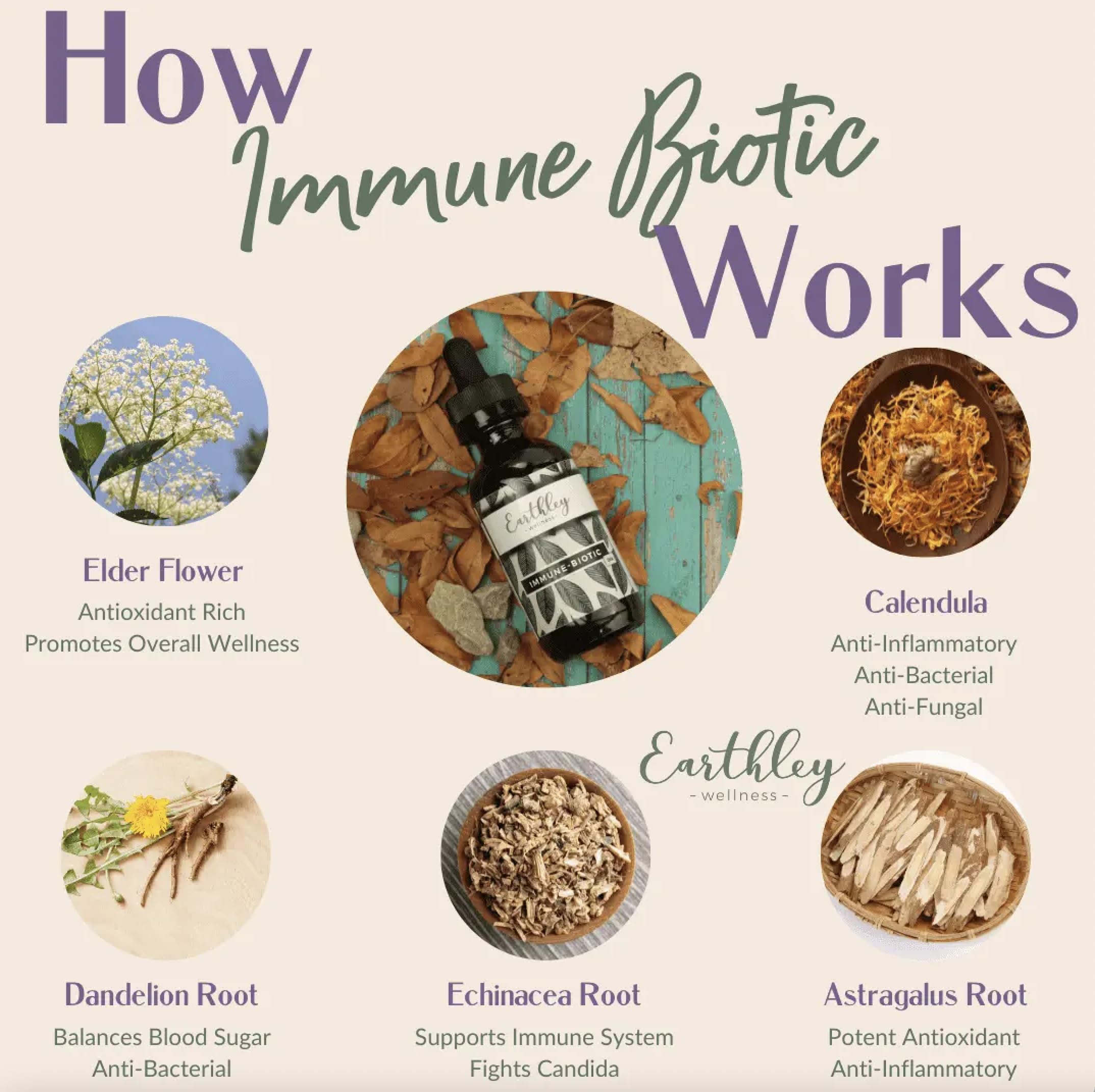 elderflower extract for immune support