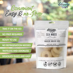Elderwise sea moss for smoothies