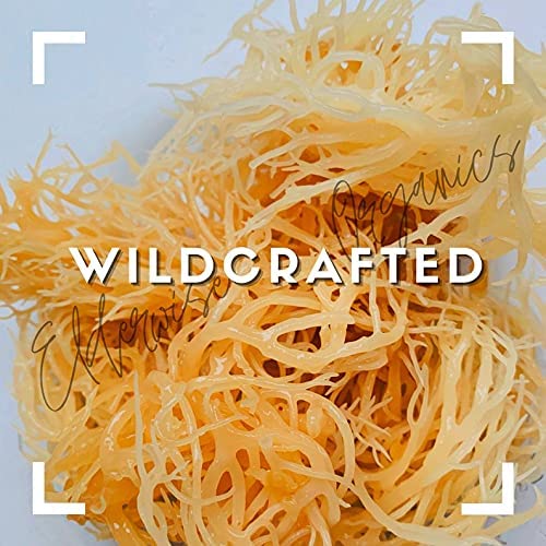 Elderwise sea moss gel recipe