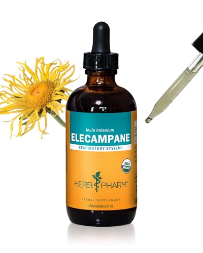 elecampane extract for respiratory health