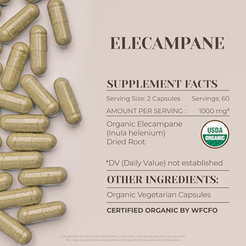elecampane for immune support