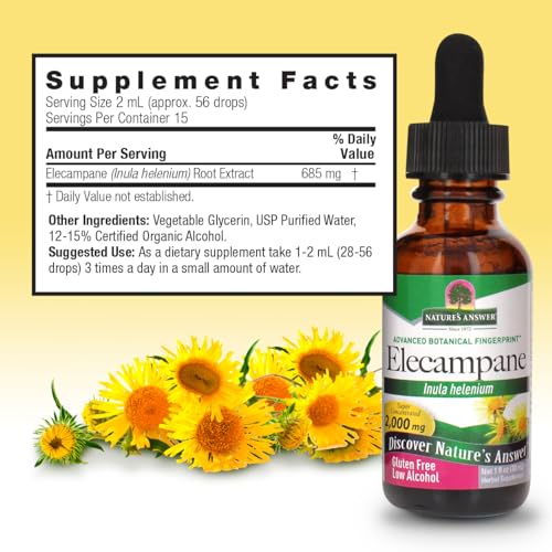elecampane for respiratory health