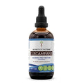 elecampane liquid extract benefits
