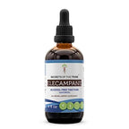 elecampane liquid extract benefits