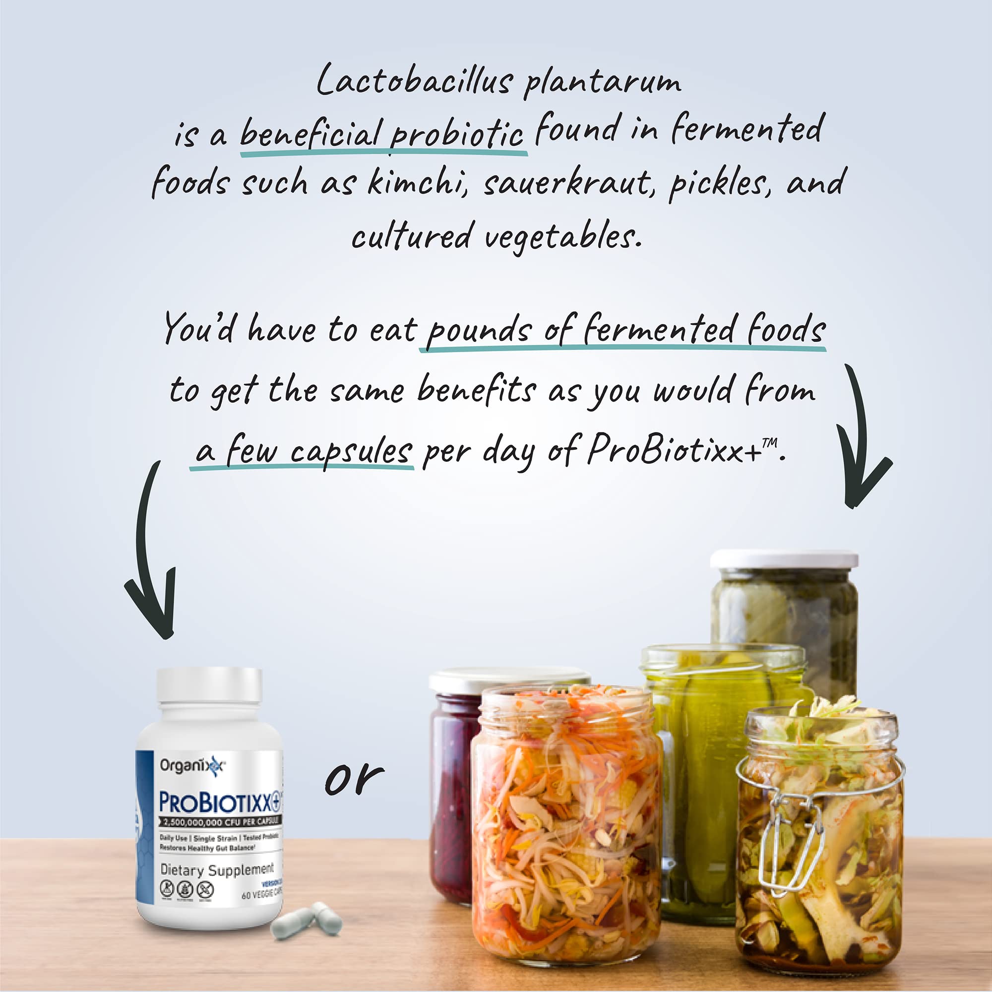 electric massagers and probiotic synergy