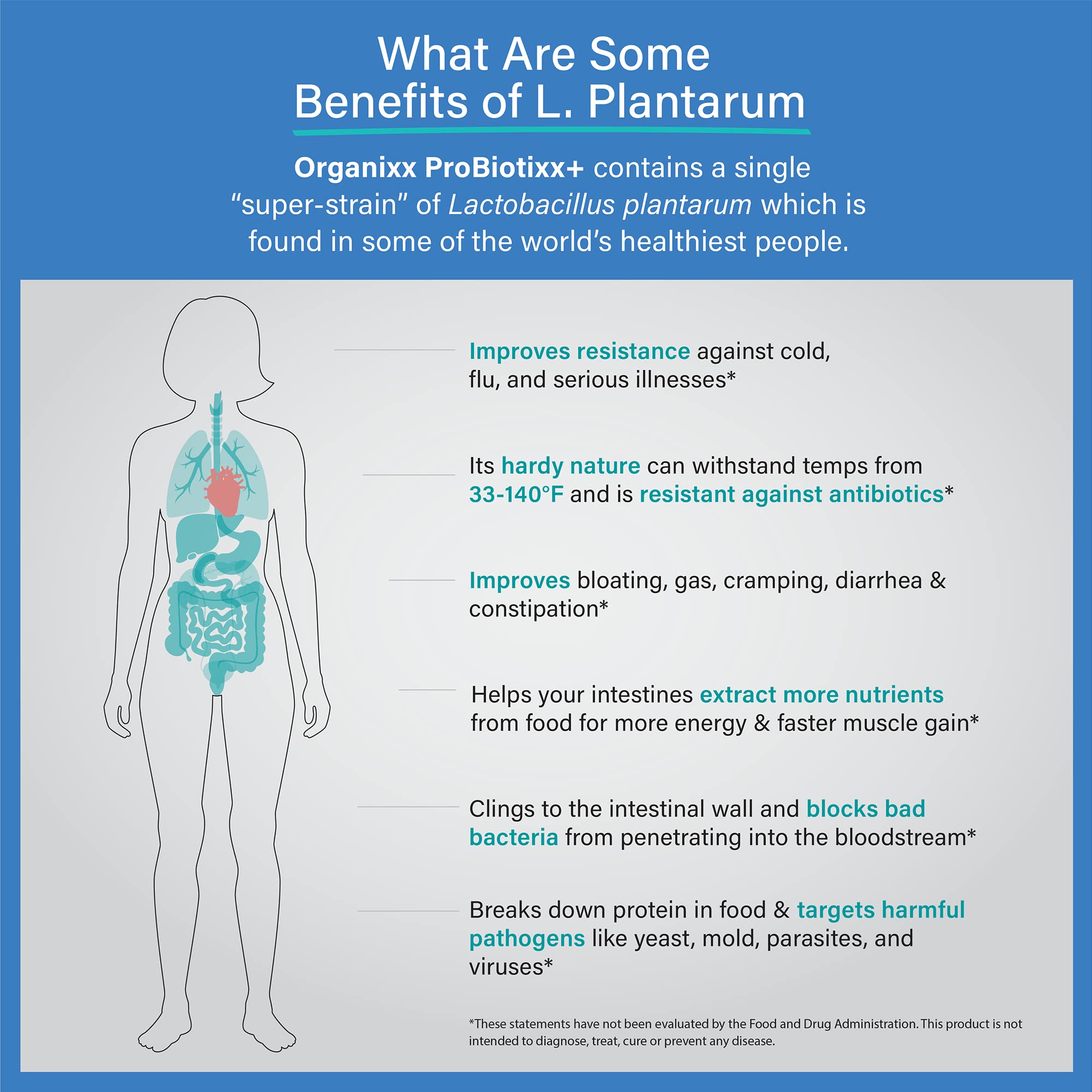 electric massagers promoting gut health