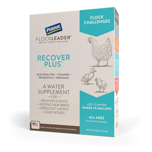 electrolyte blend for healthy chickens