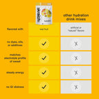 Electrolyte mix for endurance training