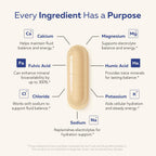 electrolyte powder for active lifestyle