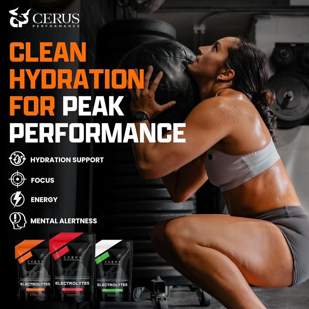 electrolyte powder for endurance athletes