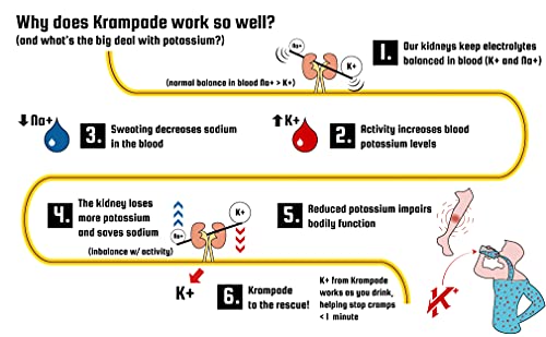 electrolyte powder for low sugar diets