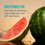 electrolyte powder for quick hydration